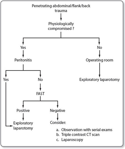 JaypeeDigital | eBook Reader
