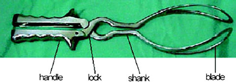 Neville Barnes Forceps