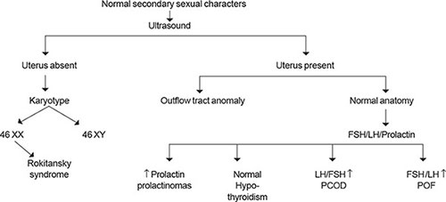 JaypeeDigital | eBook Reader