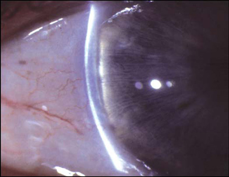 JaypeeDigital | eBook Reader