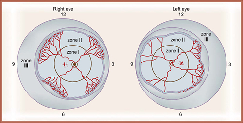 JaypeeDigital | eBook Reader