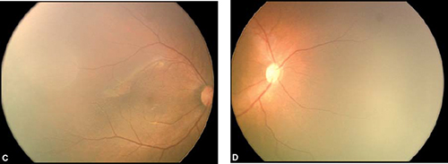 JaypeeDigital | eBook Reader