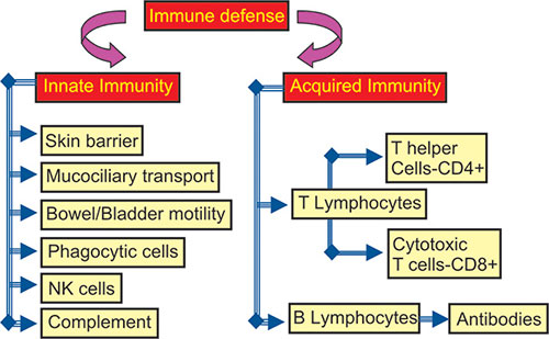 JaypeeDigital | eBook Reader