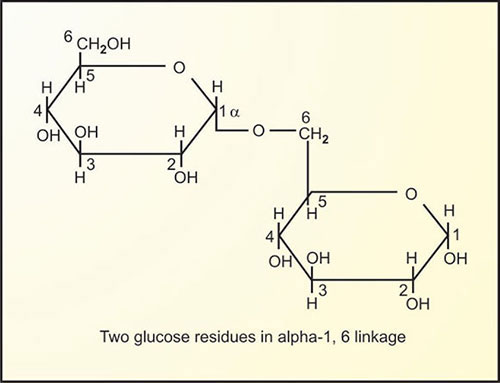 Structure Of Isomaltose