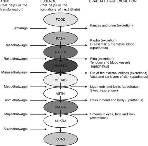 JaypeeDigital | eBook Reader
