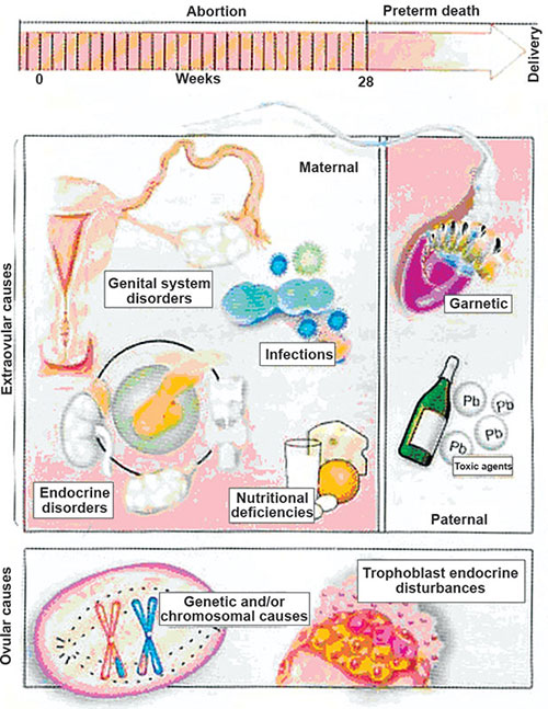 JaypeeDigital | eBook Reader