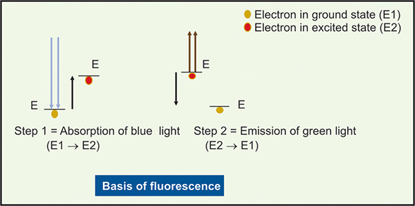 JaypeeDigital | eBook Reader