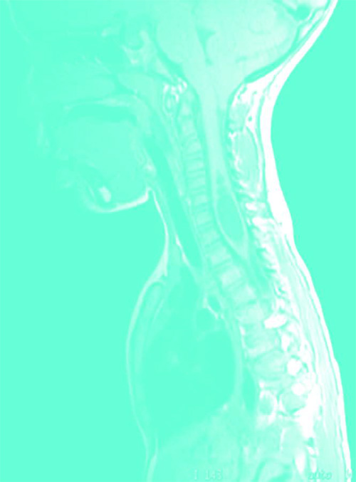 JaypeeDigital | eBook Reader