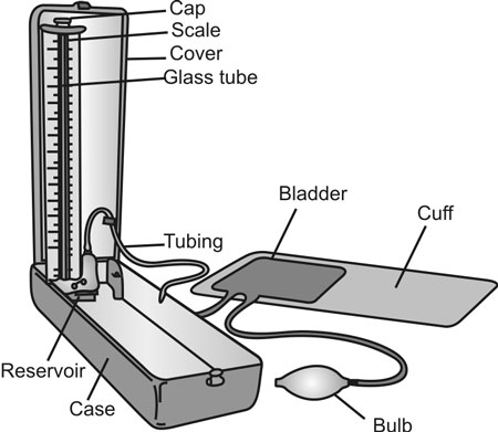 Bp Apparatus With Label