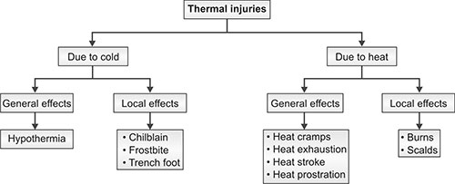 What Are Thermal Injuries Causing Death