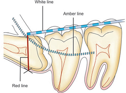 Amber Line's Instagram, Twitter & Facebook on IDCrawl