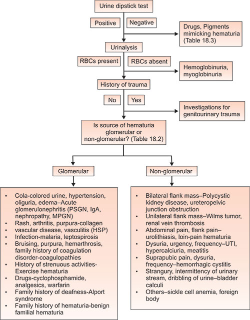 Hemoglobinuria Vs Myoglobinuria