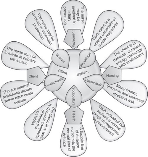 Rosemary Rizzo Parse Metaparadigm Of Florence JaypeeDigital | EBook