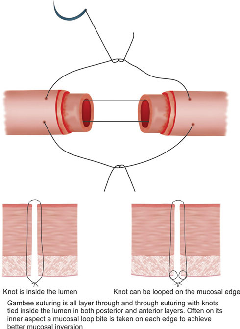 JaypeeDigital EBook Reader, 42% OFF | brunofuga.adv.br