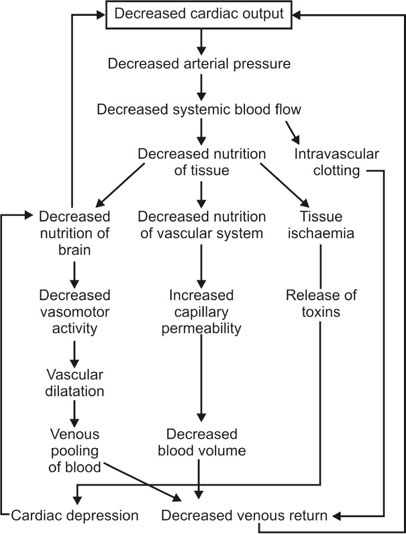 Pathophysiology Of Shock Flow Chart