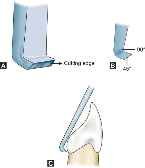 Skhothane Cutting Edge