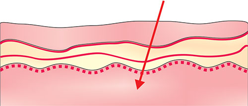 JaypeeDigital | eBook Reader