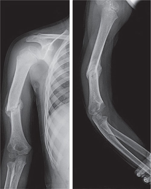 JaypeeDigital | eBook Reader