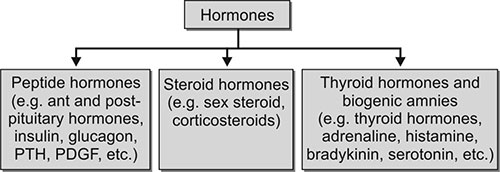 Hormone Classification Chart PPT Endocrine System PowerPoint