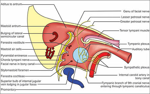 Chorda Tympani Petrotympanic Fissure