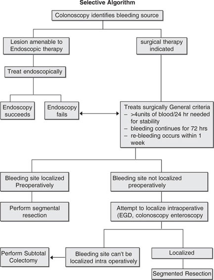 JaypeeDigital | eBook Reader