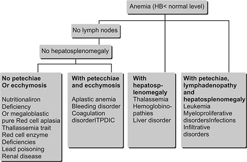 JaypeeDigital | eBook Reader