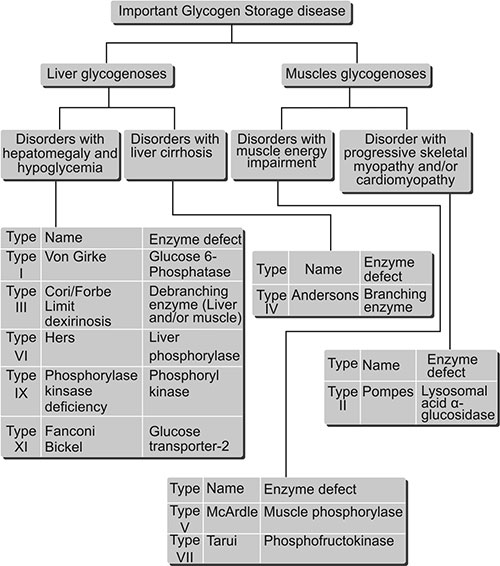 JaypeeDigital | eBook Reader
