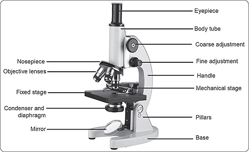 JaypeeDigital | eBook Reader