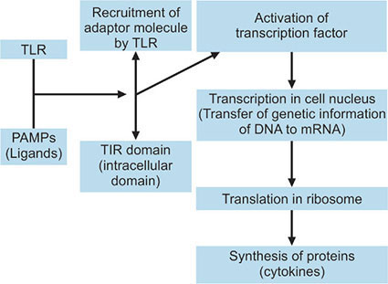 JaypeeDigital | eBook Reader