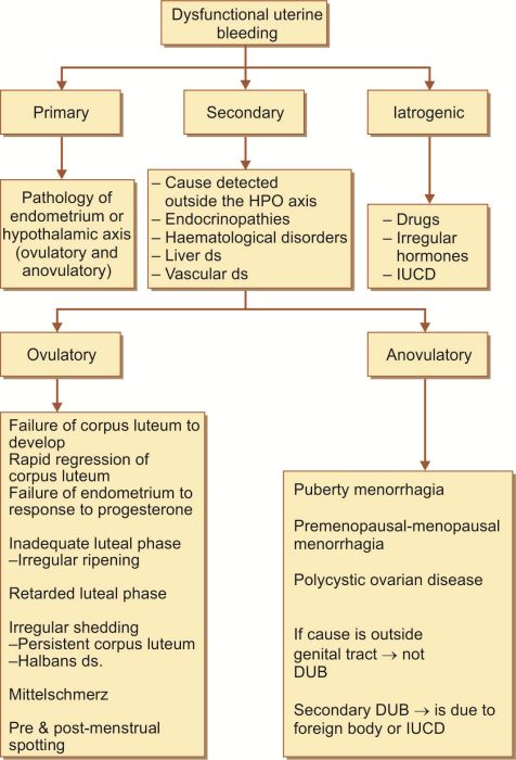 Abnormal Uterine Bleeding Classification
