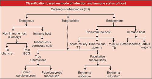 Skin Tuberculosis Types