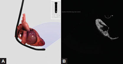 JaypeeDigital | eBook Reader