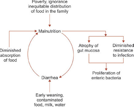 Management Of Diarrhea In Children