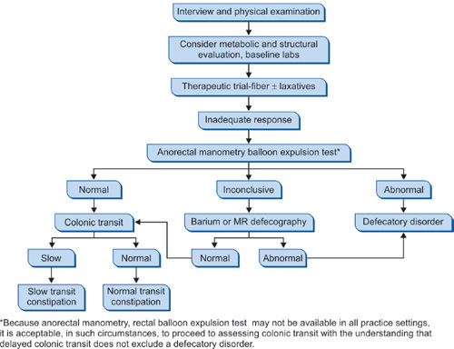 Defecation Process