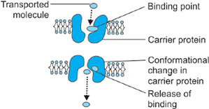 JaypeeDigital | eBook Reader