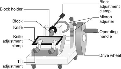 cryostat microtome uses