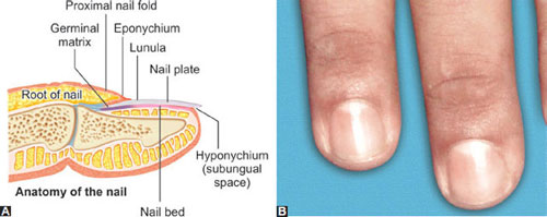 JaypeeDigital | eBook Reader