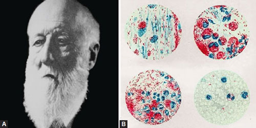 JaypeeDigital | eBook Reader