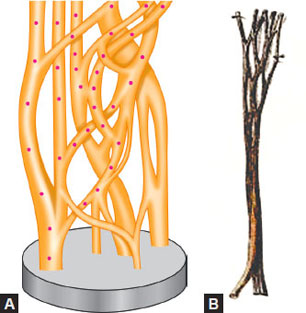 JaypeeDigital | eBook Reader