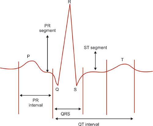 JaypeeDigital | eBook Reader