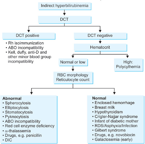 Jaundice Flow Chart Managing The Jaundiced Newborn: A Persistent