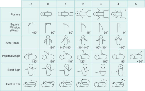 Ballard Score JaypeeDigital | EBook Reader