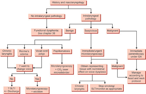 Laryngitis Diagram