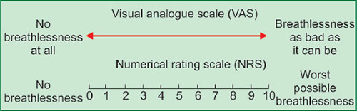 JaypeeDigital | eBook Reader