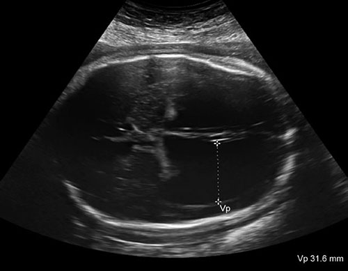 JaypeeDigital | eBook Reader