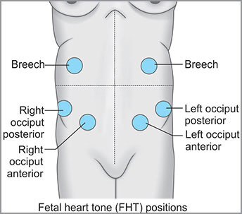JaypeeDigital | eBook Reader