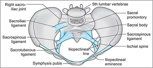 JaypeeDigital | eBook Reader