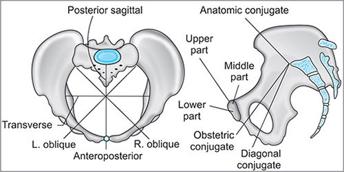 JaypeeDigital | eBook Reader
