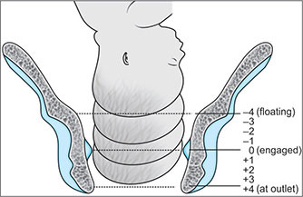 JaypeeDigital | eBook Reader