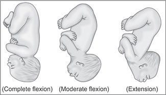 JaypeeDigital | eBook Reader